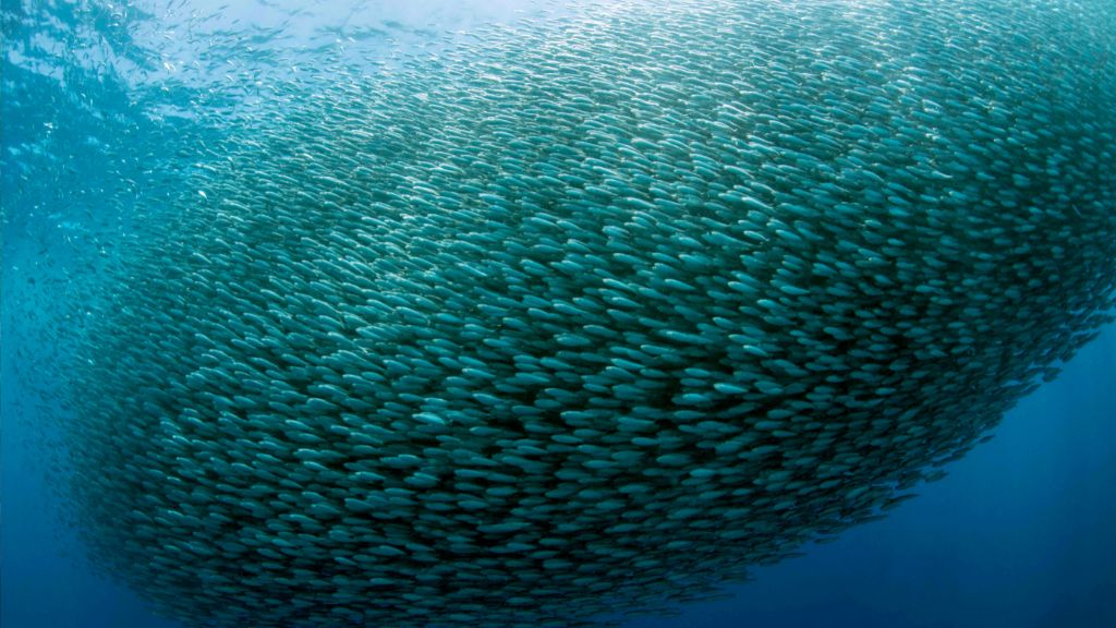 10 Consejos Para Manifestar Dinero Y Abundancia En Tu Vida Gaia Español