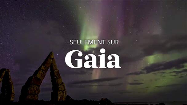 Gaia - Le streaming conscient en illimité Documentaires, cours de yoga ...