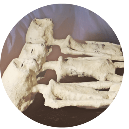 Unearthing Nazca | The Complete Story