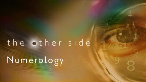 Discover Your Personal Year and Its Meaning in Numerology | Gaia