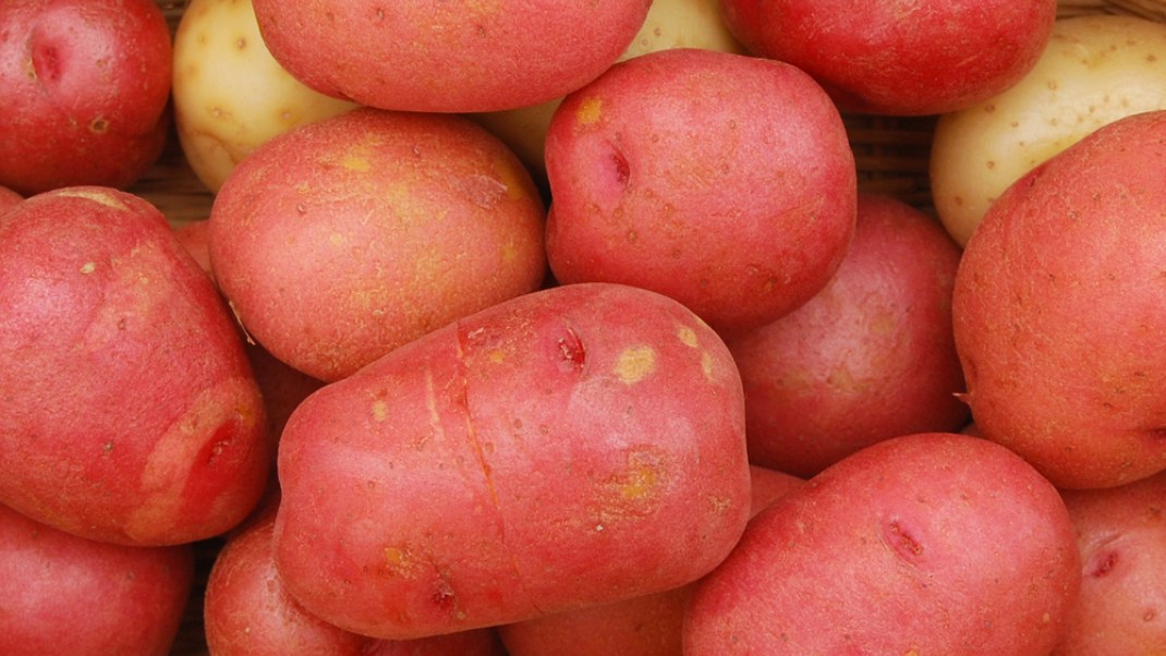 The Root Chakra: Foods to Ground and Strengthen | Gaia