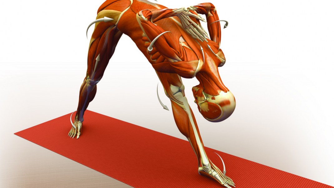 Parsvottanasana: Intense Side Stretch Pose - Yoga | Gaia