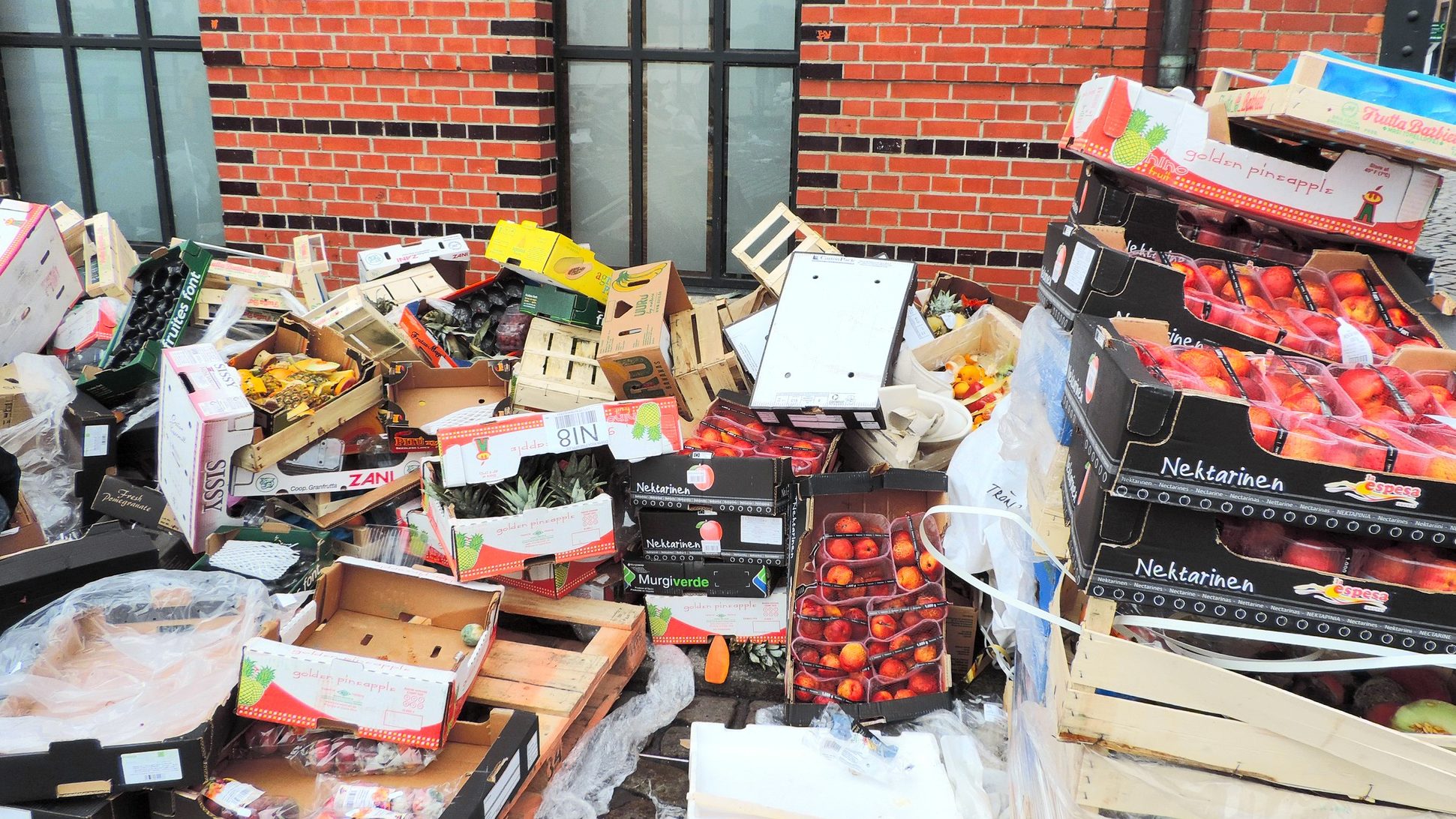We're Wasting a Third of All Our Food; How Can We Stop This? | Gaia