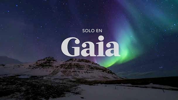 Gaia - Transformación y Consciencia, Vídeos de Yoga Online y mucho más ...